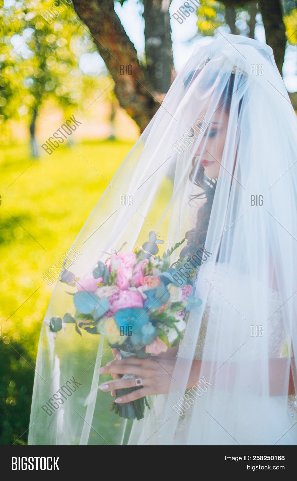 Beautiful Bride Image & Photo (Free Trial) | Bigstock