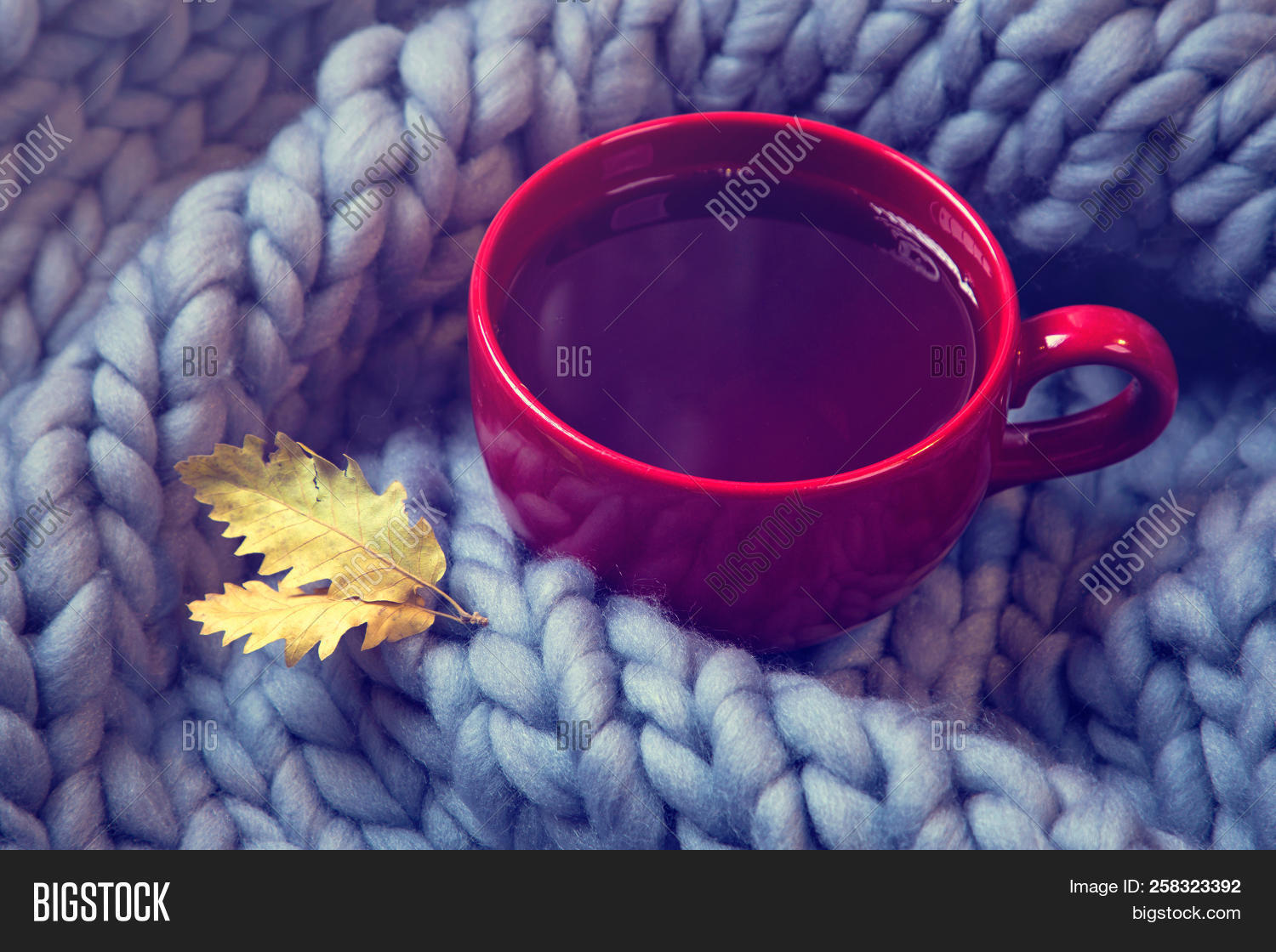 Red Cup Tea Wool Image & Photo (Free Trial) | Bigstock