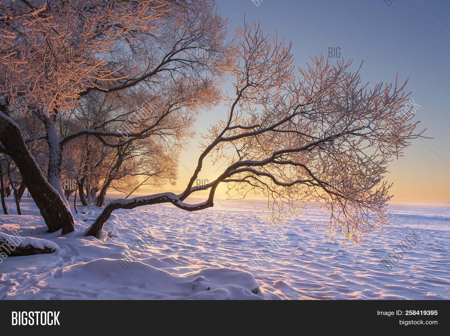 Vibrant Winter Image & Photo (Free Trial) | Bigstock