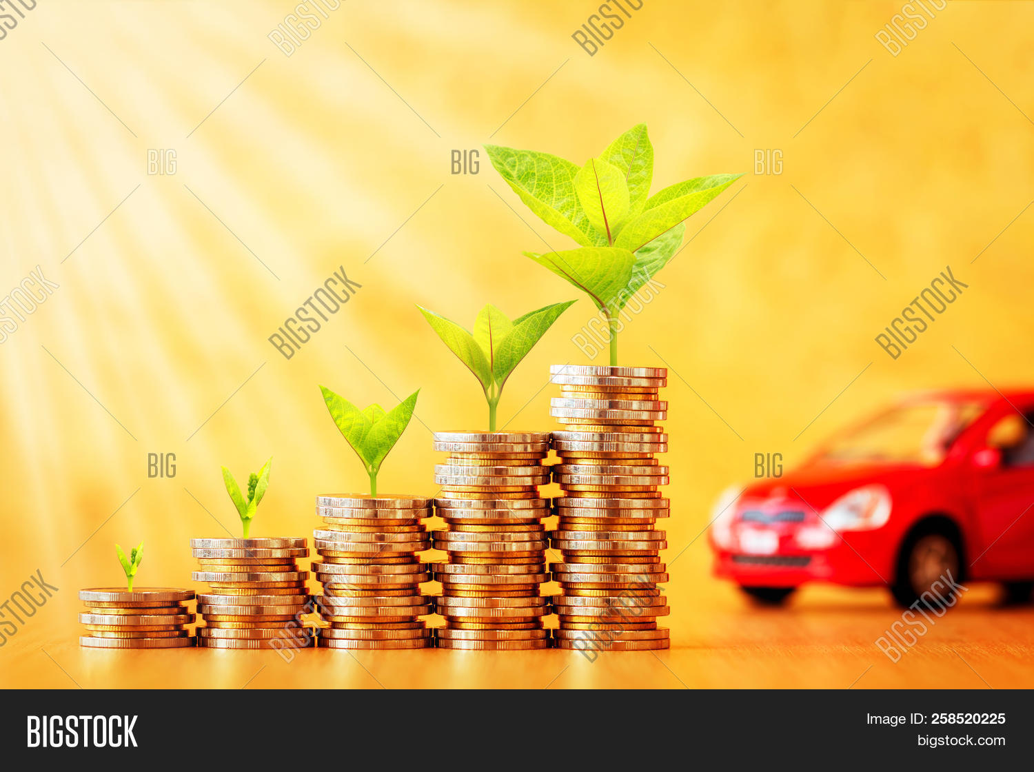 Stack Coin Plant Image & Photo (Free Trial) | Bigstock