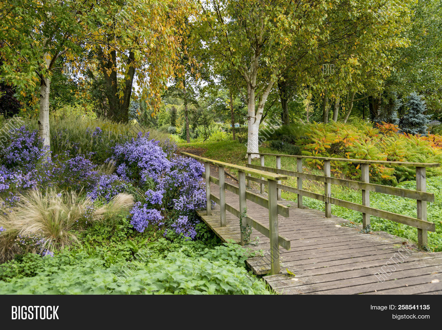 Bressingham Gardens - Image & Photo (Free Trial) | Bigstock