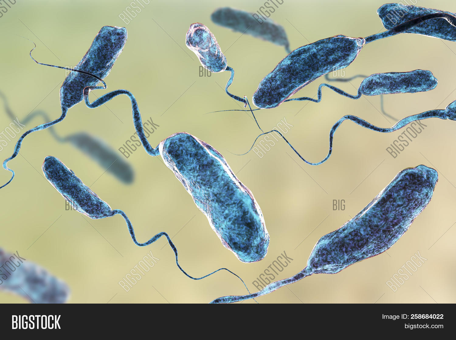 Imagen y foto Vibrio Cholerae (prueba gratis) | Bigstock