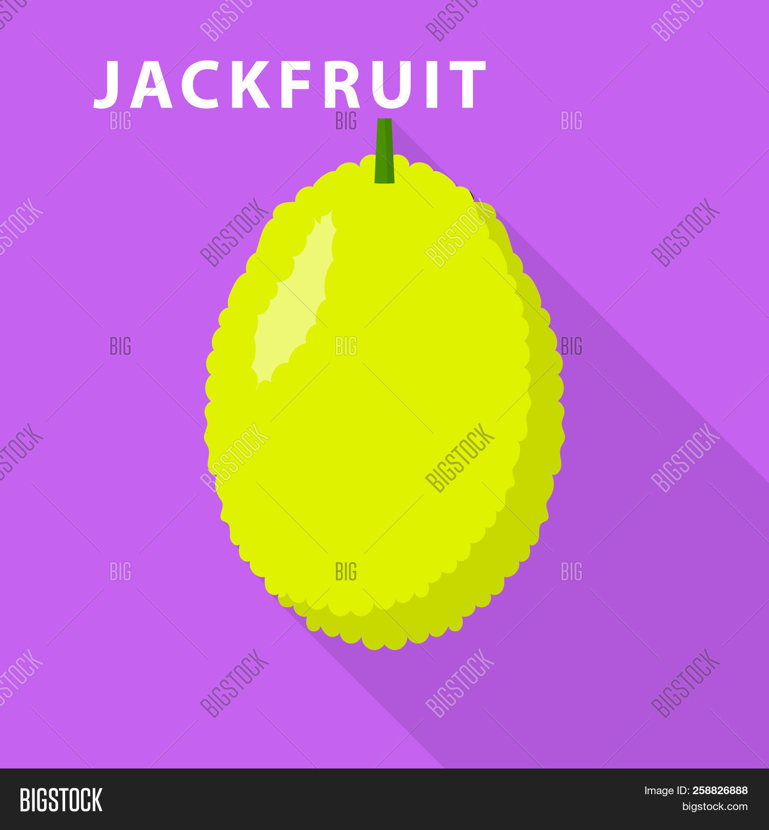 Jackfruit Icon. Flat Image & Photo (Free Trial) | Bigstock
