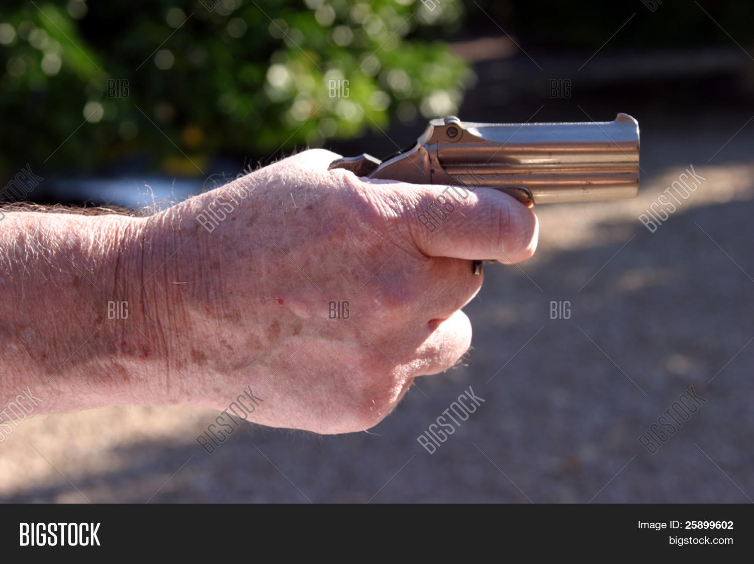 Antique 2 Shot .45 Cal Image & Photo (Free Trial) | Bigstock