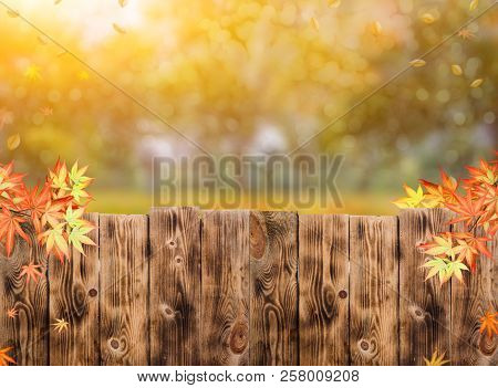 Wooden Fence Garden Images, Illustrations & Vectors (Free) - Bigstock