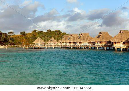 Typical Polynesian Image & Photo (Free Trial) | Bigstock