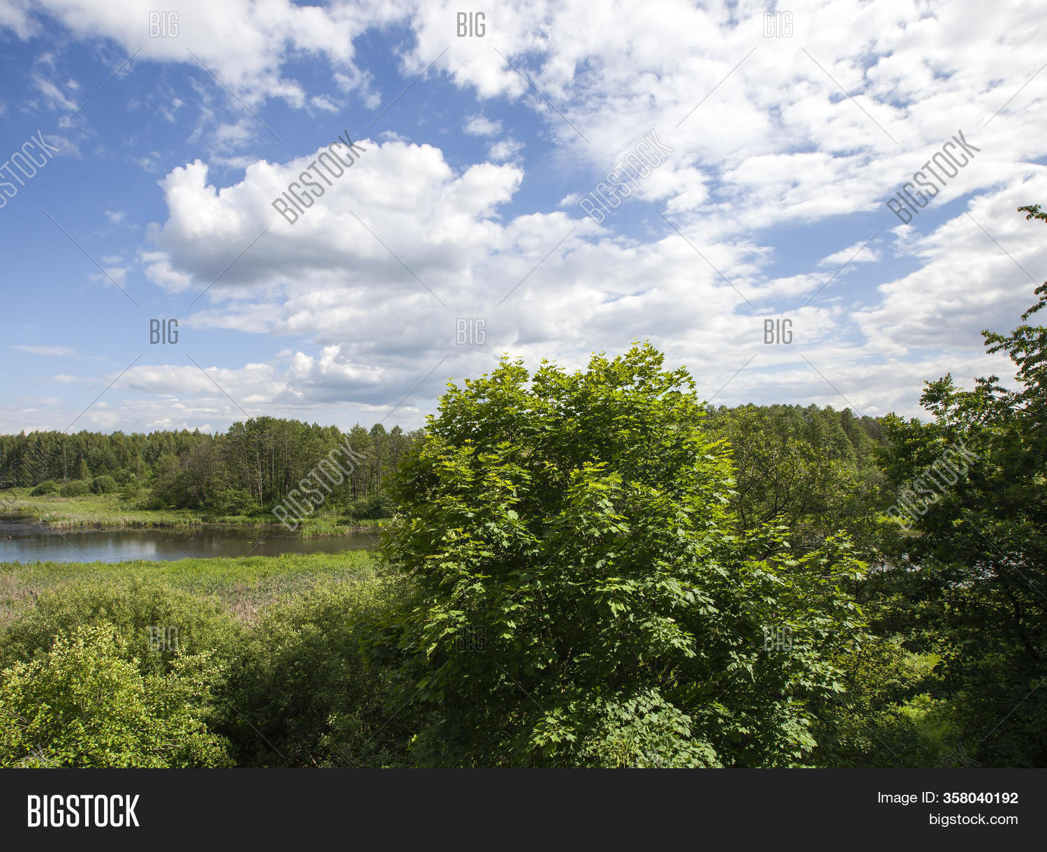 Real Nature Green Image & Photo (Free Trial) | Bigstock