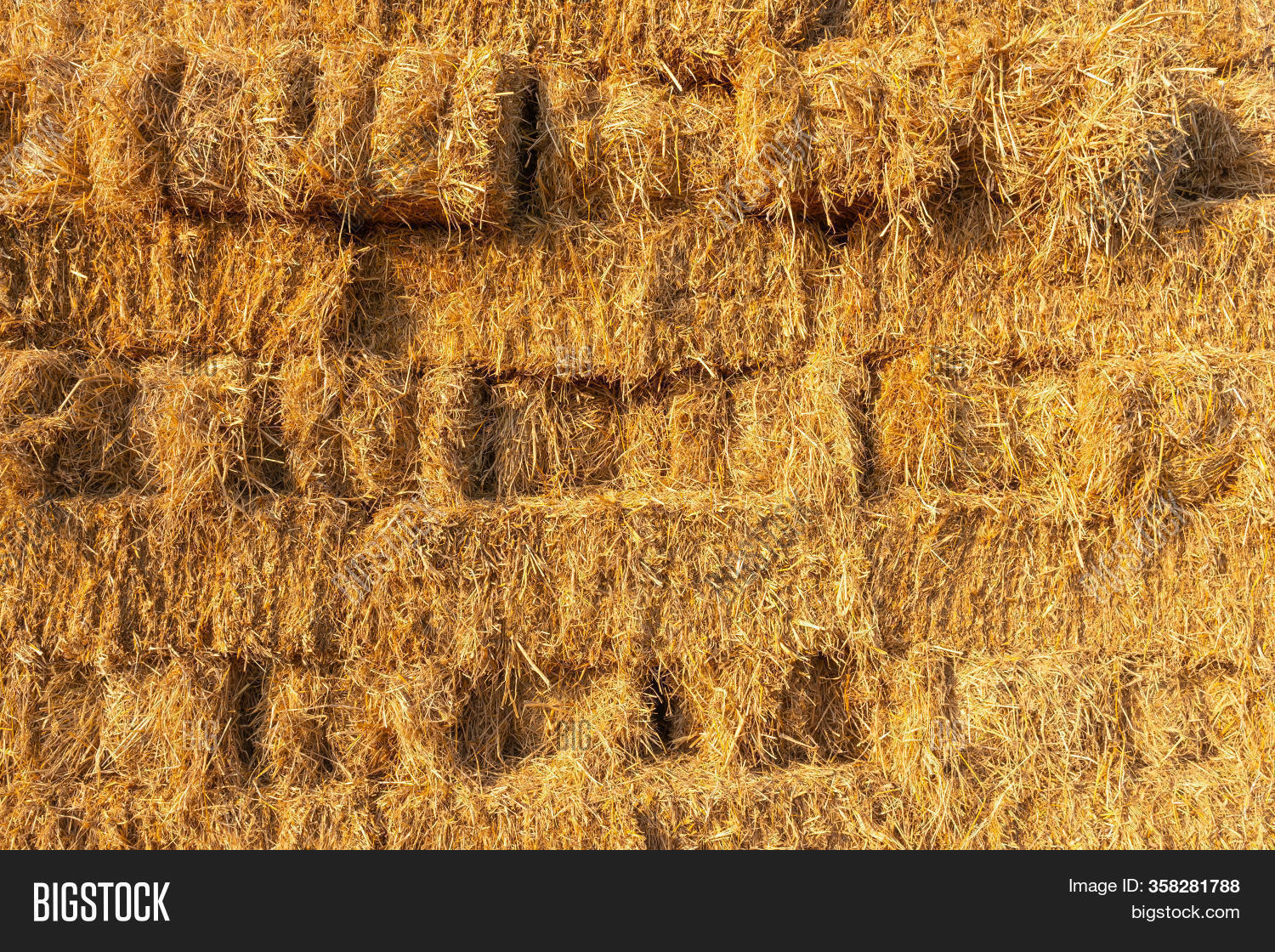Yellow Hay Texture Image & Photo (Free Trial) | Bigstock