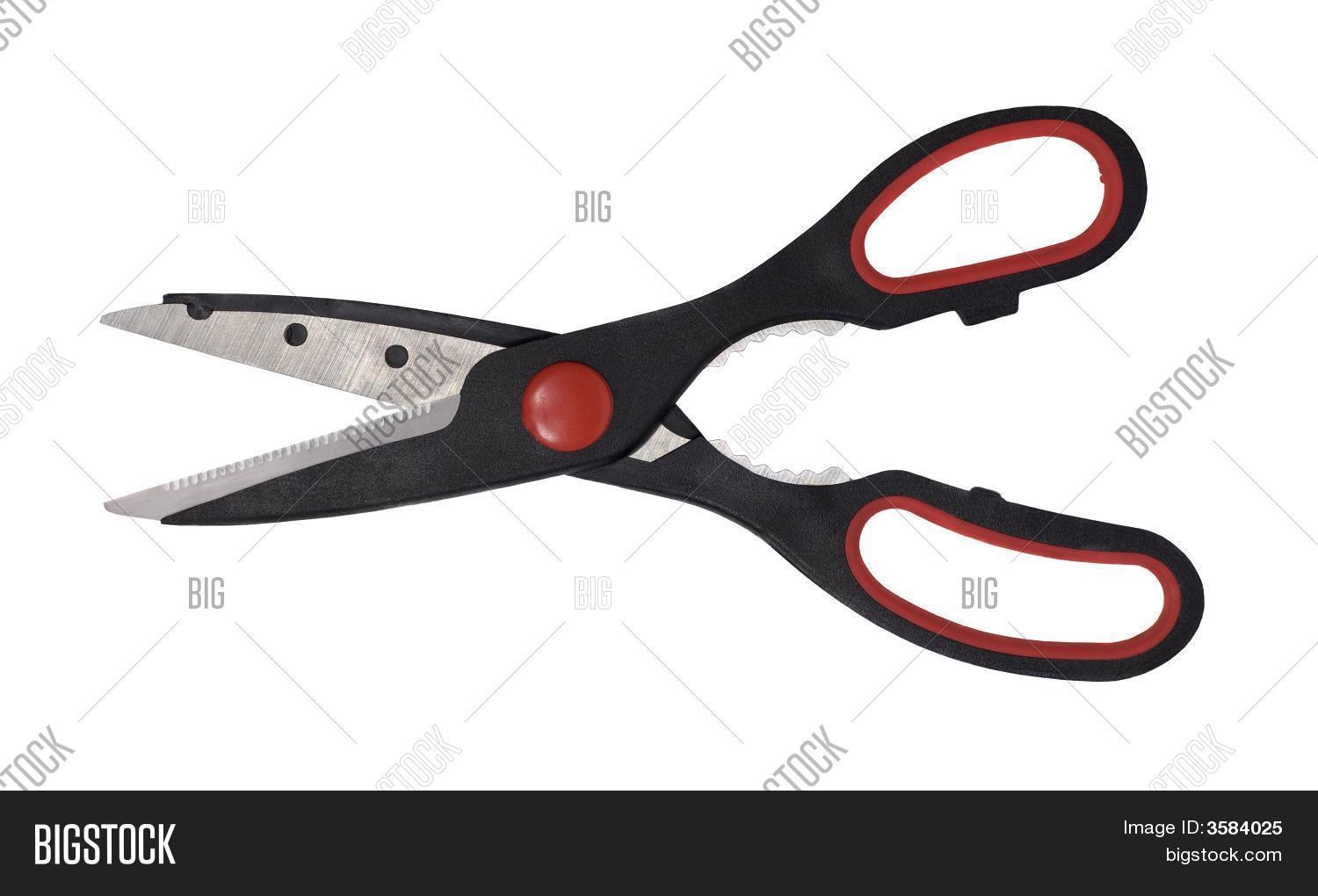 Kitchen Shears Image & Photo (Free Trial) | Bigstock