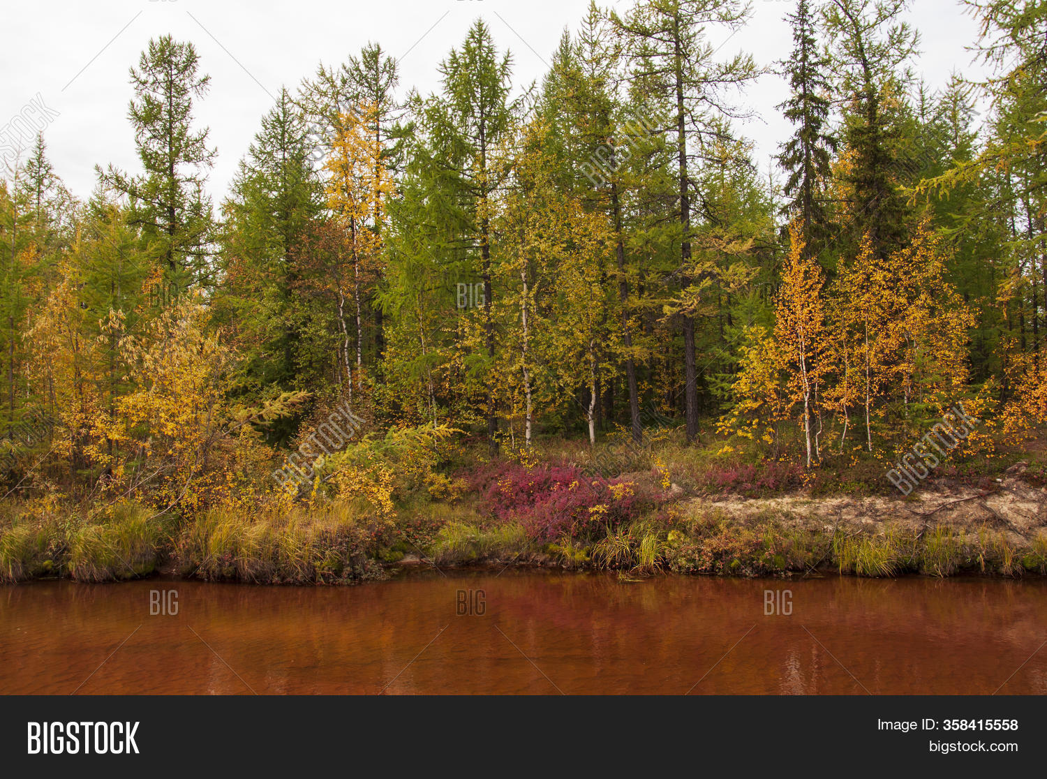 Brown River Slow Image & Photo (Free Trial) | Bigstock