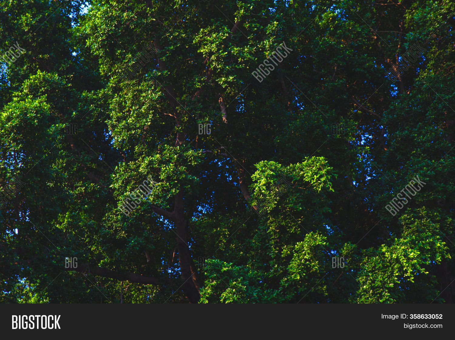 Background Picture Image & Photo (Free Trial) | Bigstock