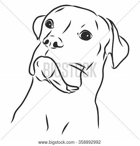 Sketch Funny Smiling Vector & Photo (Free Trial) | Bigstock