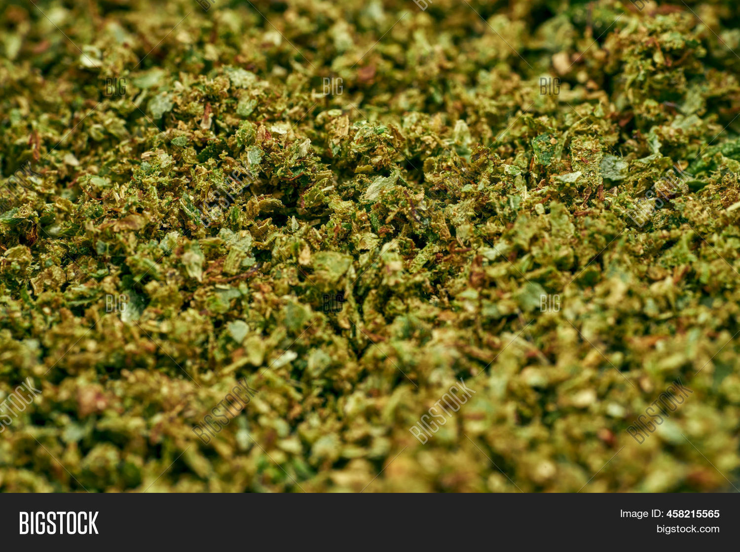 Background Green Dry Image & Photo (Free Trial) | Bigstock