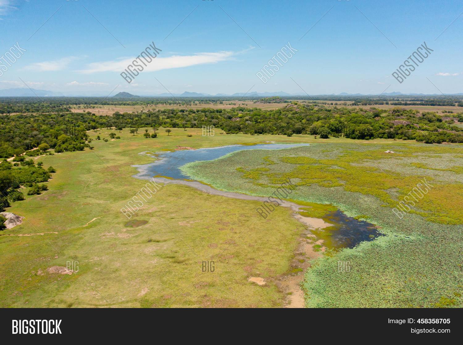 Aerial Drone Wetlands Image & Photo (Free Trial) | Bigstock