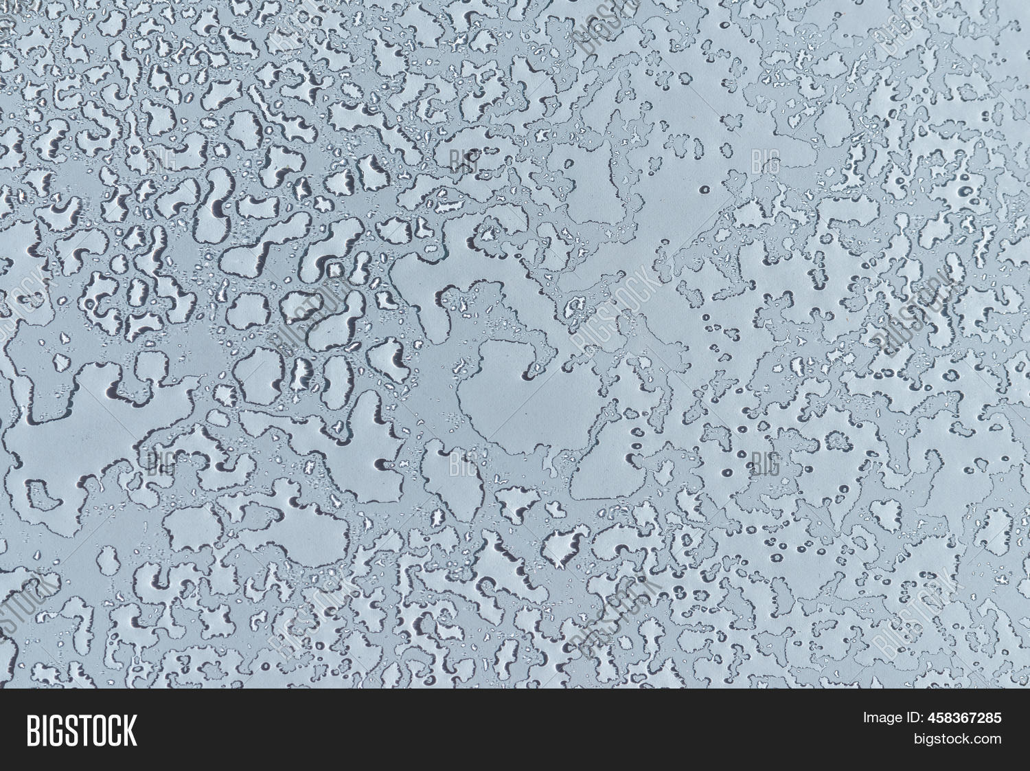 Water Drops Condensate Image & Photo (Free Trial) | Bigstock