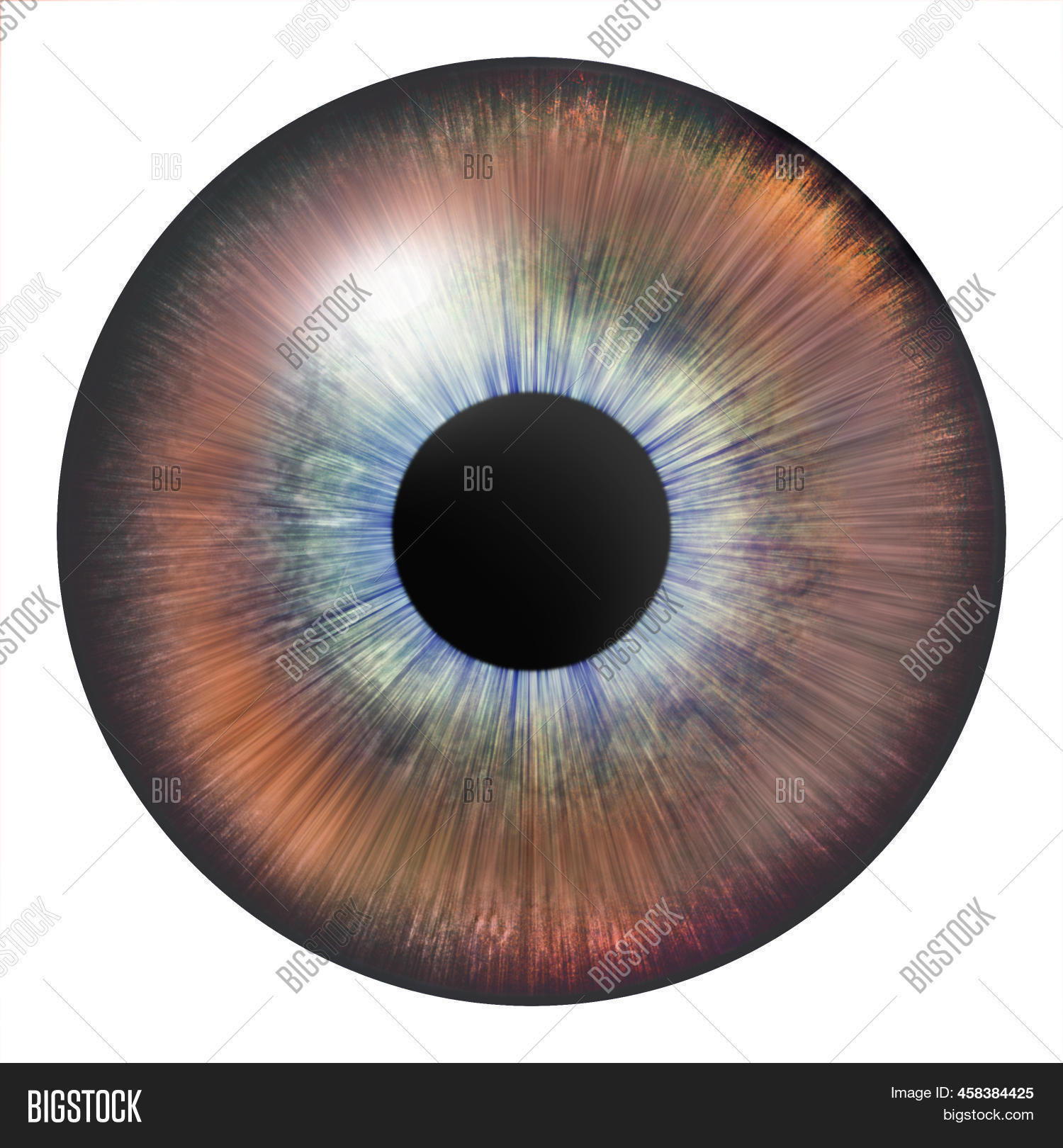 Iris Eye. Human Iris. Image & Photo (Free Trial) | Bigstock