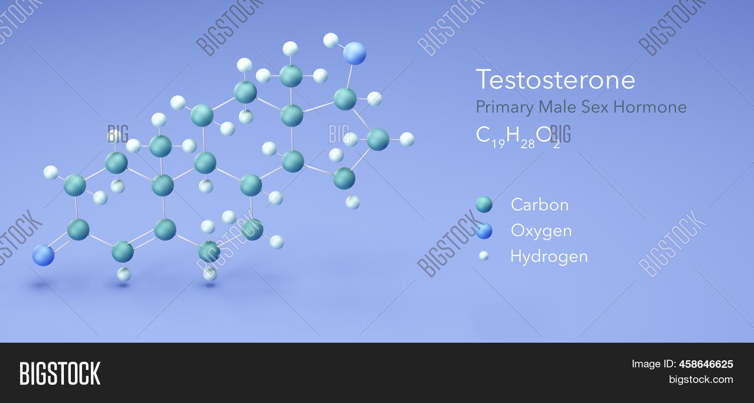 Testosterone, Primary Image & Photo (Free Trial) | Bigstock