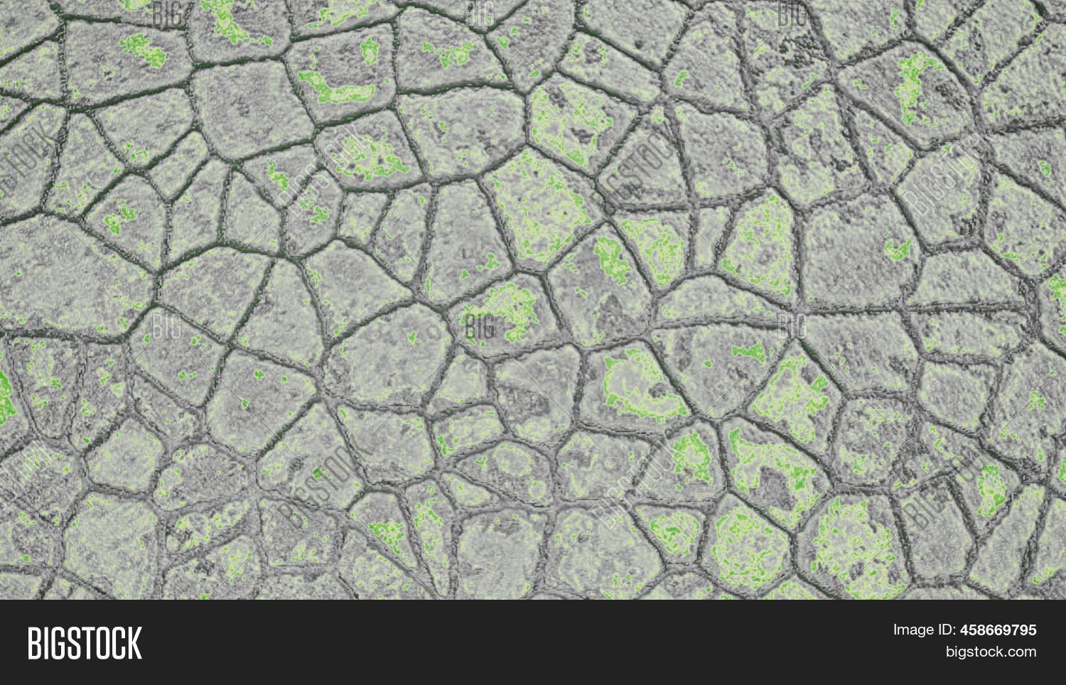 Stone Ground Texture. Image & Photo (Free Trial) | Bigstock