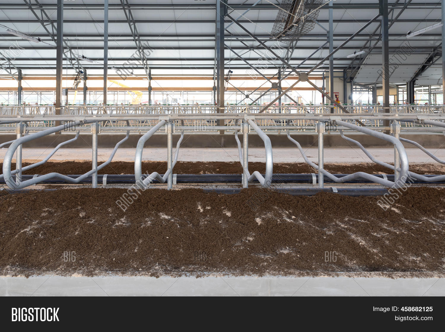 New Modern Cattle Farm Image & Photo (Free Trial) | Bigstock