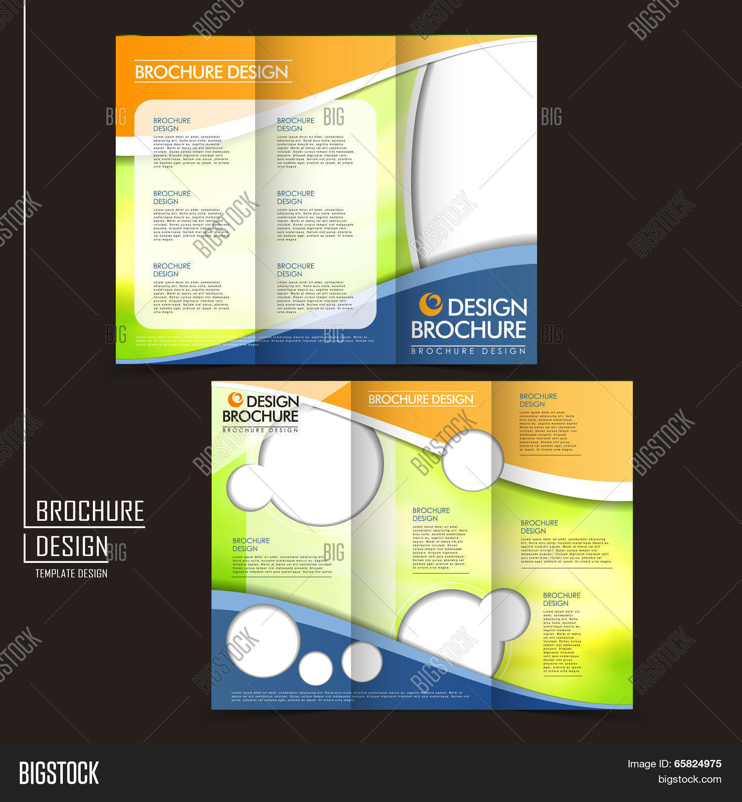 Vector Tri-fold Vector & Photo (Free Trial) | Bigstock