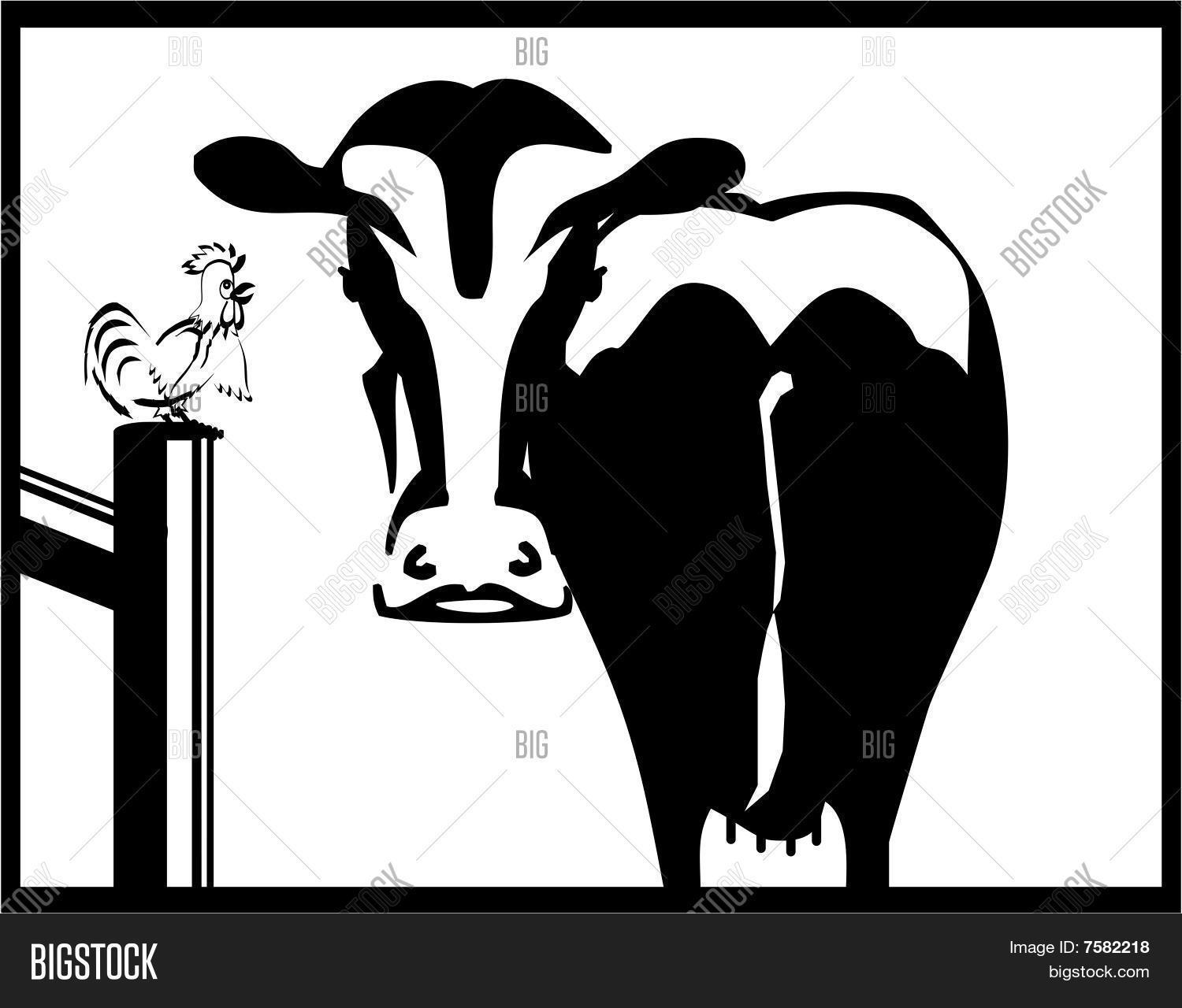 Cow Rooster Vector & Photo (Free Trial) | Bigstock