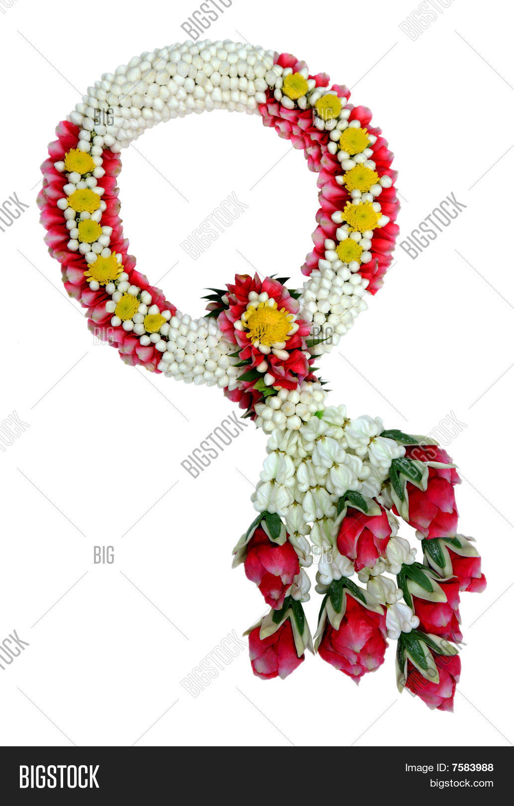 Malai Flower Thai Image & Photo (Free Trial) | Bigstock