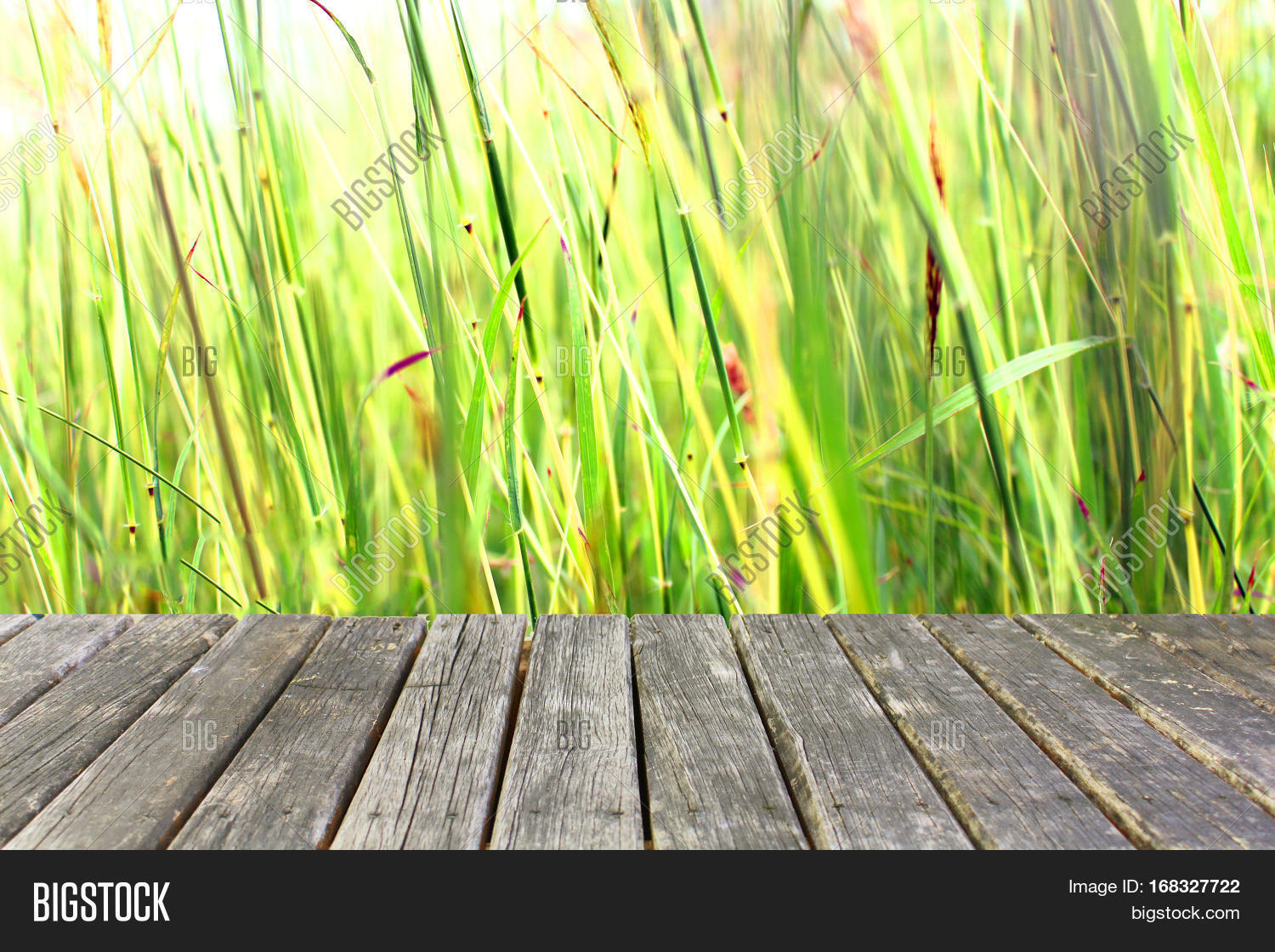 Wood Table On Grass Image & Photo (Free Trial) | Bigstock