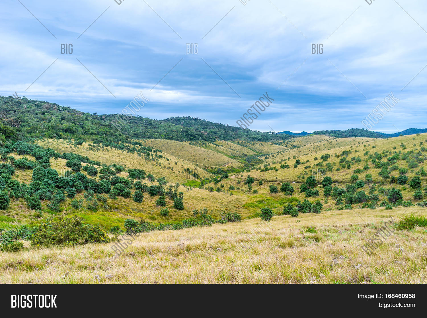 Montane Landscape Image & Photo (Free Trial) | Bigstock