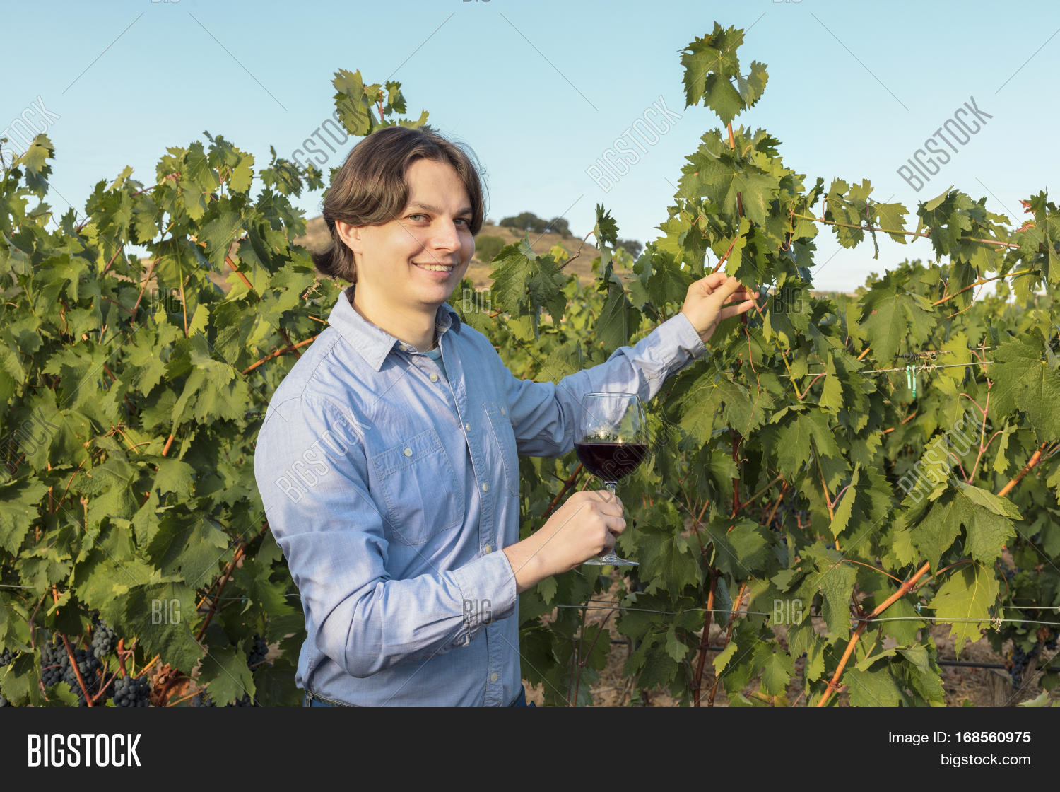 Photo Happy Winemaker Image & Photo (Free Trial) | Bigstock