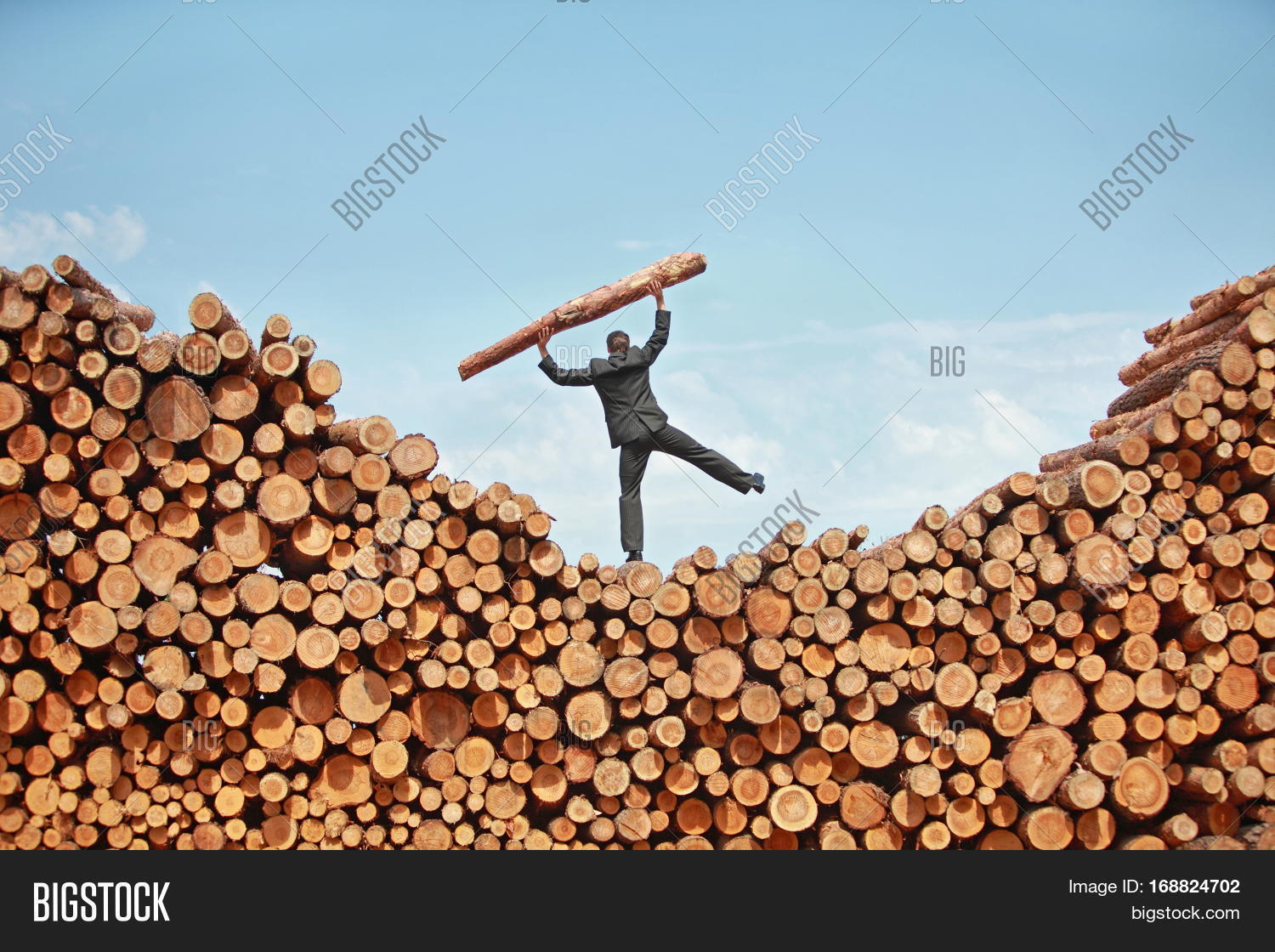 Balancing Business Man Image & Photo (Free Trial) | Bigstock