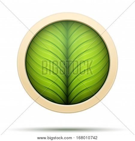 Green Leaf Round Vector & Photo (Free Trial) | Bigstock