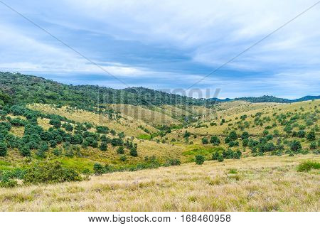 Montane Landscape Image & Photo (Free Trial) | Bigstock