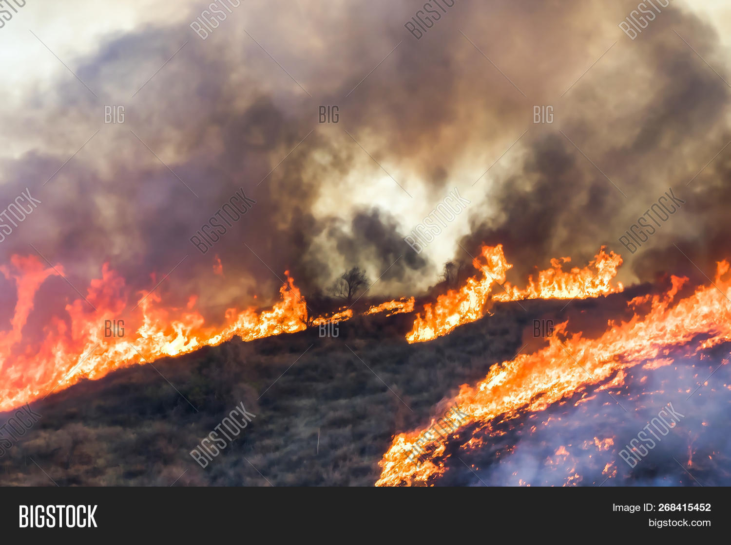 Landscape On Fire Image & Photo (Free Trial) | Bigstock