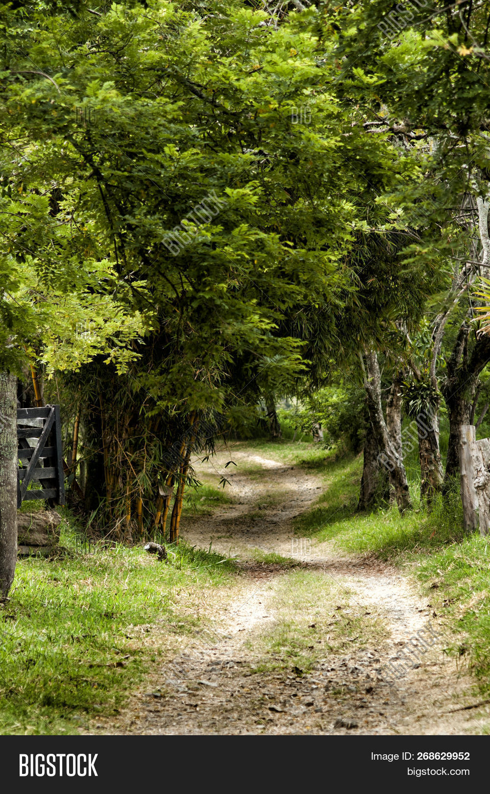 Rural Path- Landscape Image & Photo (Free Trial) | Bigstock
