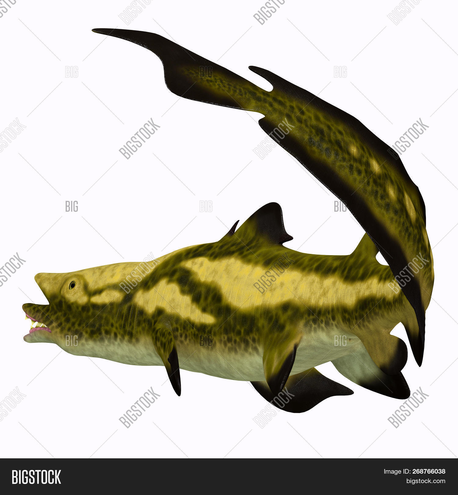 Edestus Shark Tail 3d Image & Photo (Free Trial) | Bigstock