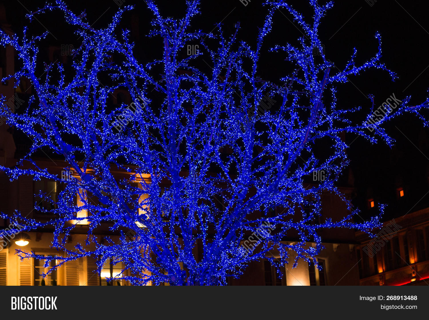 Illuminated Blue Tree Image & Photo (Free Trial) | Bigstock