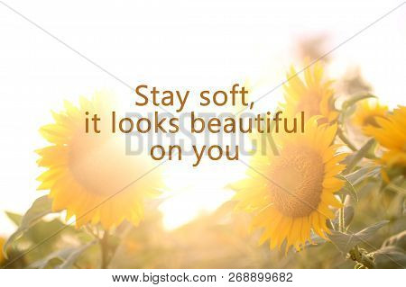 Inspirational Quote- Image & Photo (Free Trial) | Bigstock