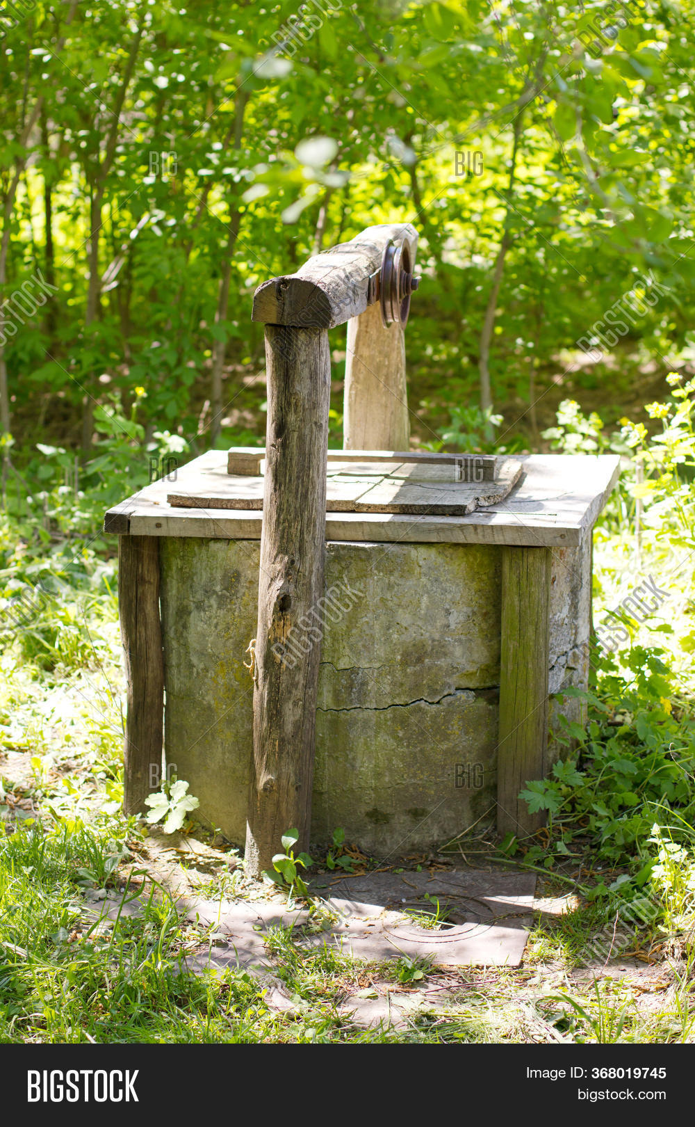 Old Well Forest Very Image & Photo (Free Trial) | Bigstock