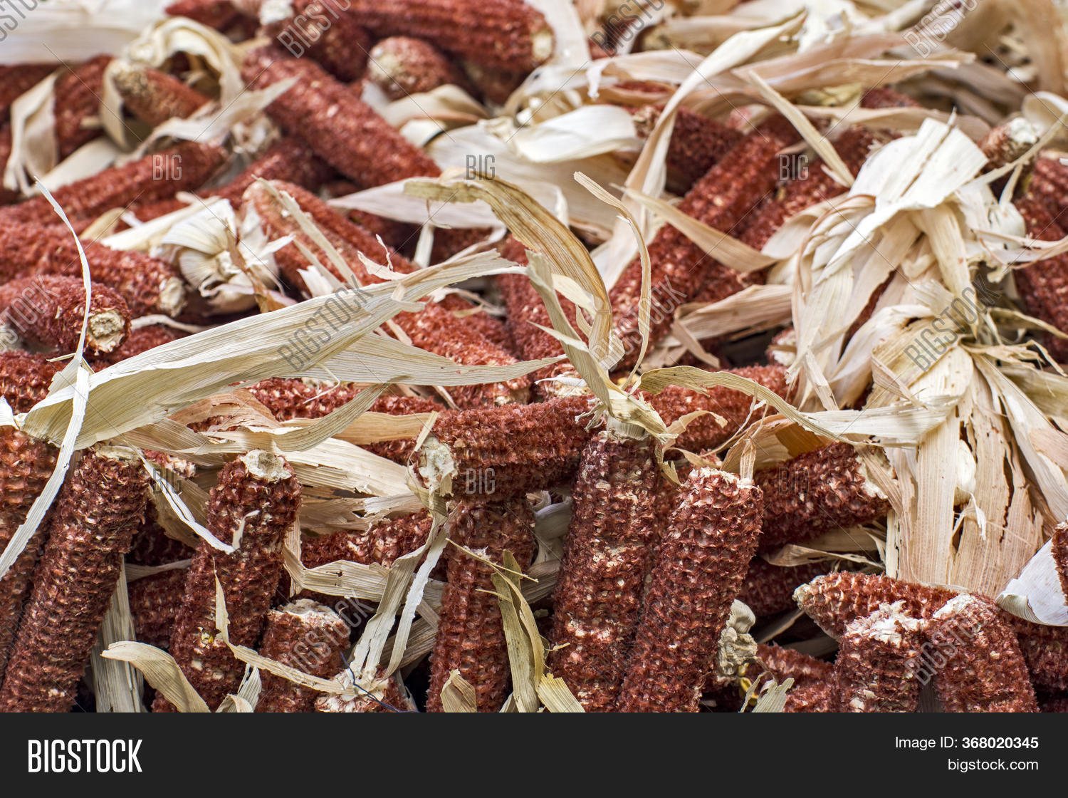 Corn Cob Waste Heating Image & Photo (Free Trial) | Bigstock