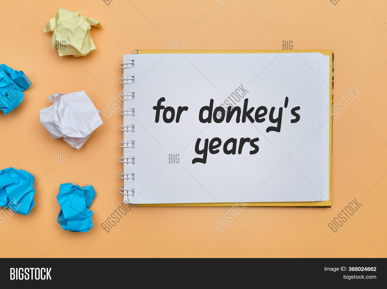 Donkey Years - English Image & Photo (Free Trial) | Bigstock