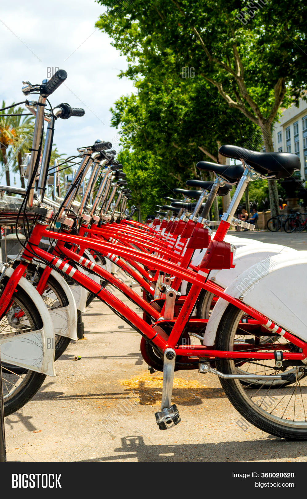 Many Red Bicycles - Image & Photo (Free Trial) | Bigstock