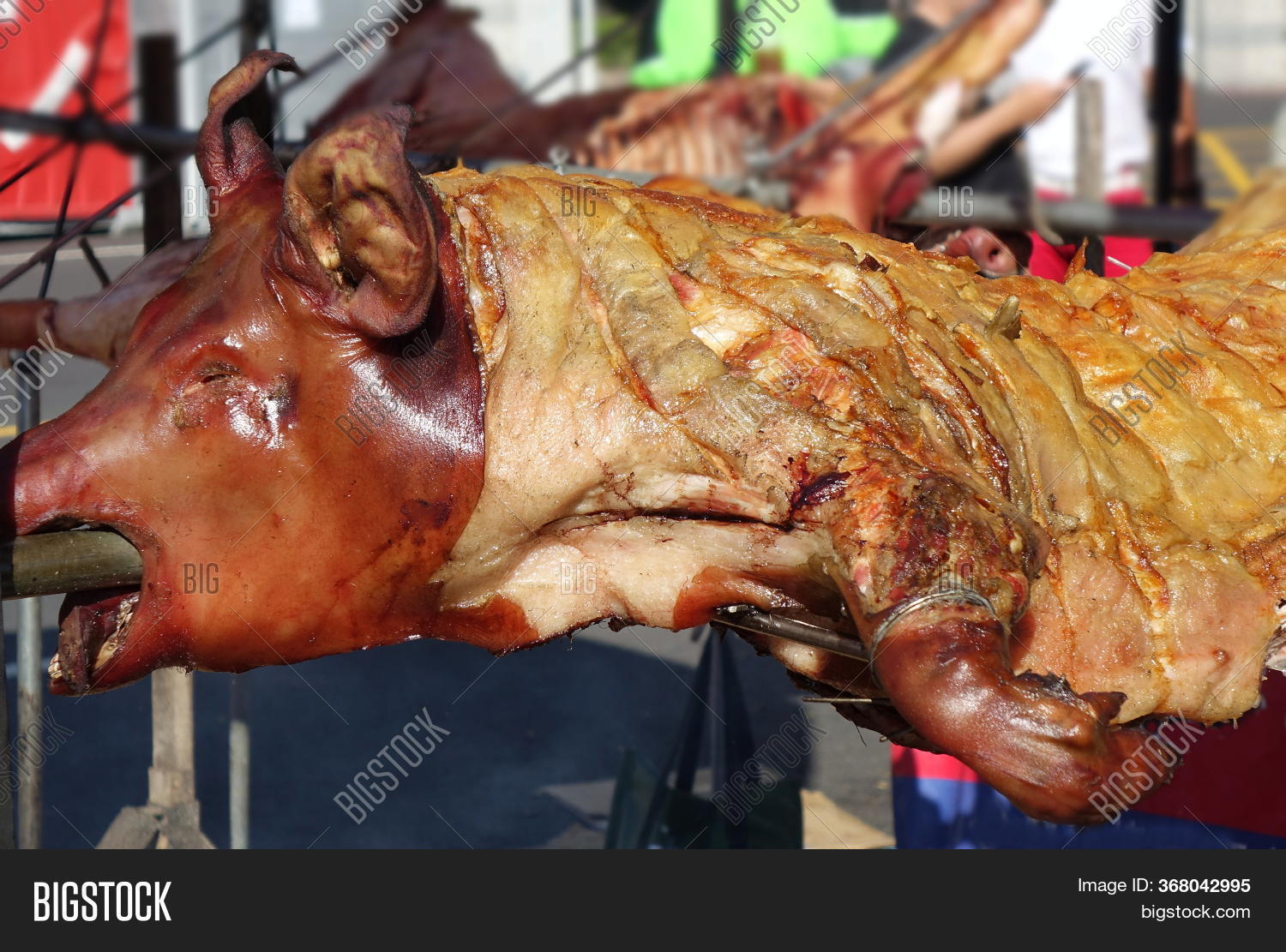 Traditional Whole Pig Image & Photo (Free Trial) | Bigstock