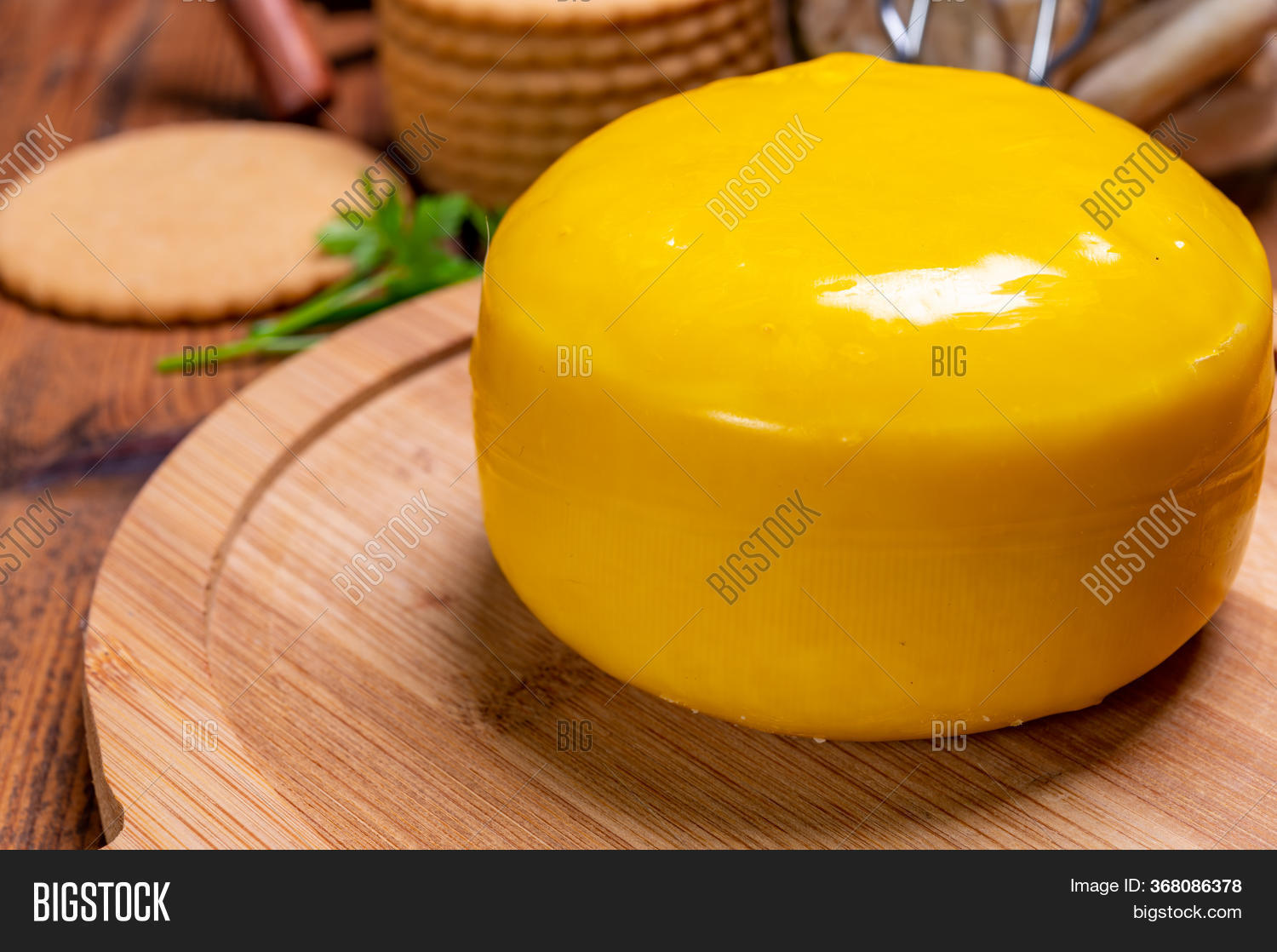 Dutch Baby Gouda Image & Photo (Free Trial) | Bigstock