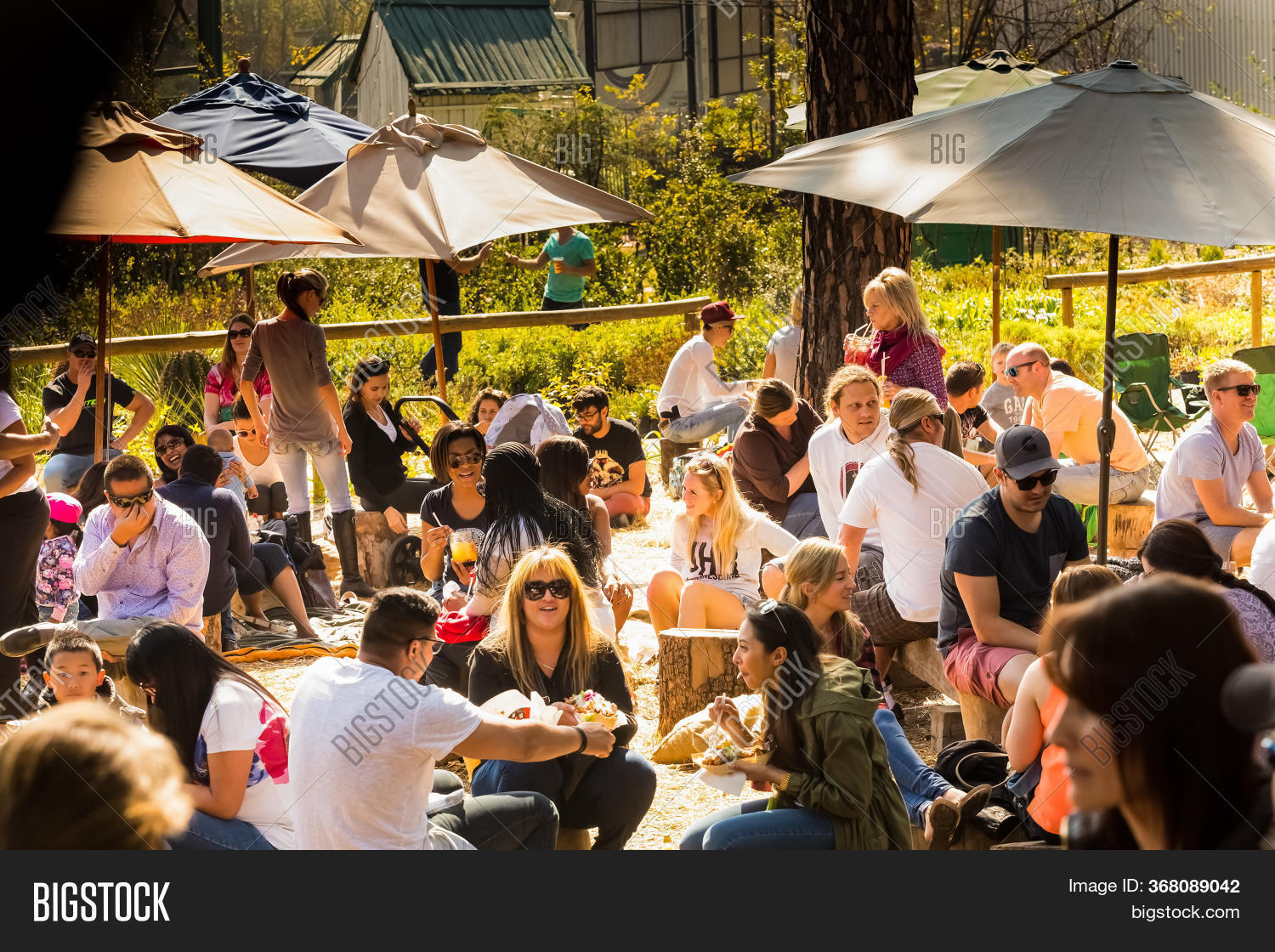 Crowds Diverse People Image & Photo (Free Trial) | Bigstock