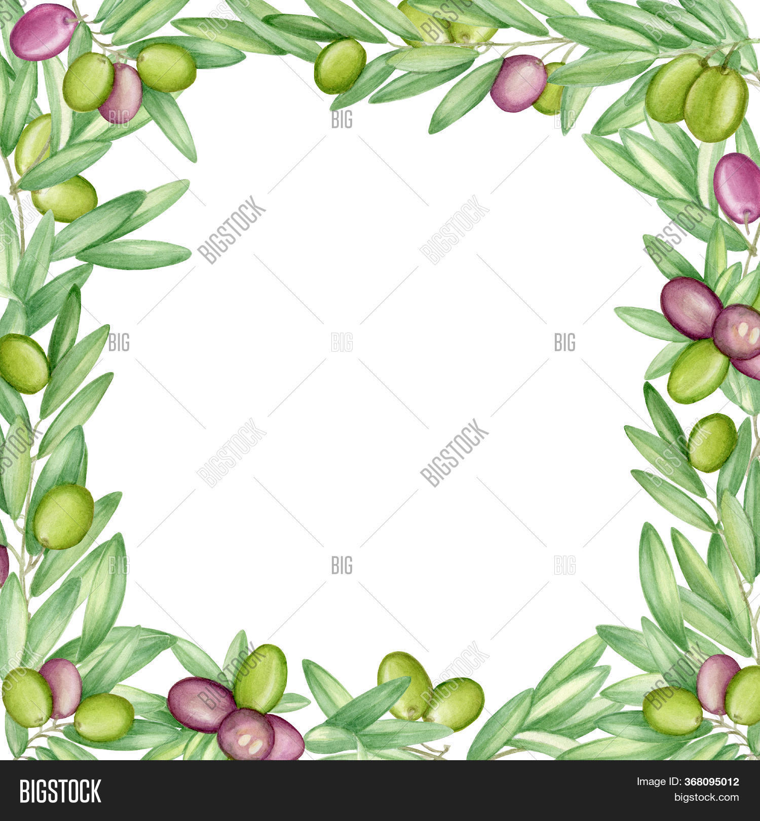 Olive Frame. Olive Image & Photo (Free Trial) | Bigstock