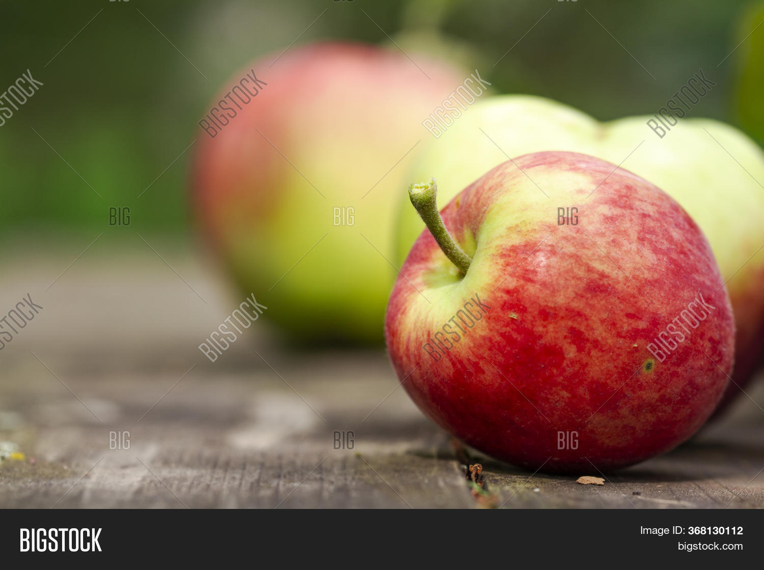 Home Grown Red Organic Image & Photo (Free Trial) | Bigstock