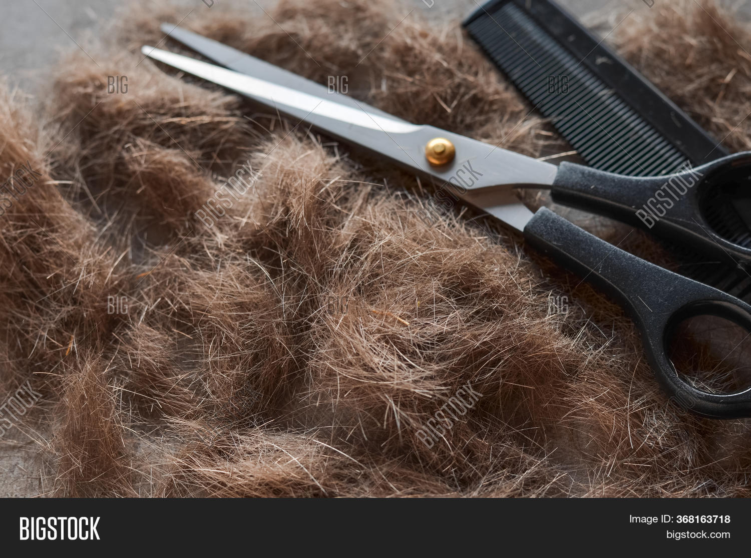 Pile Cut Hair, Image & Photo (Free Trial) | Bigstock