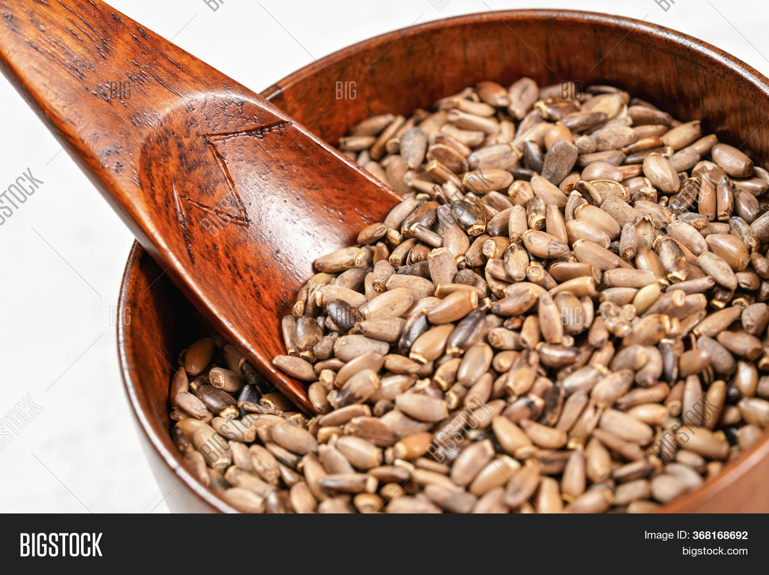Blessed Milk Thistle Image & Photo (Free Trial) | Bigstock