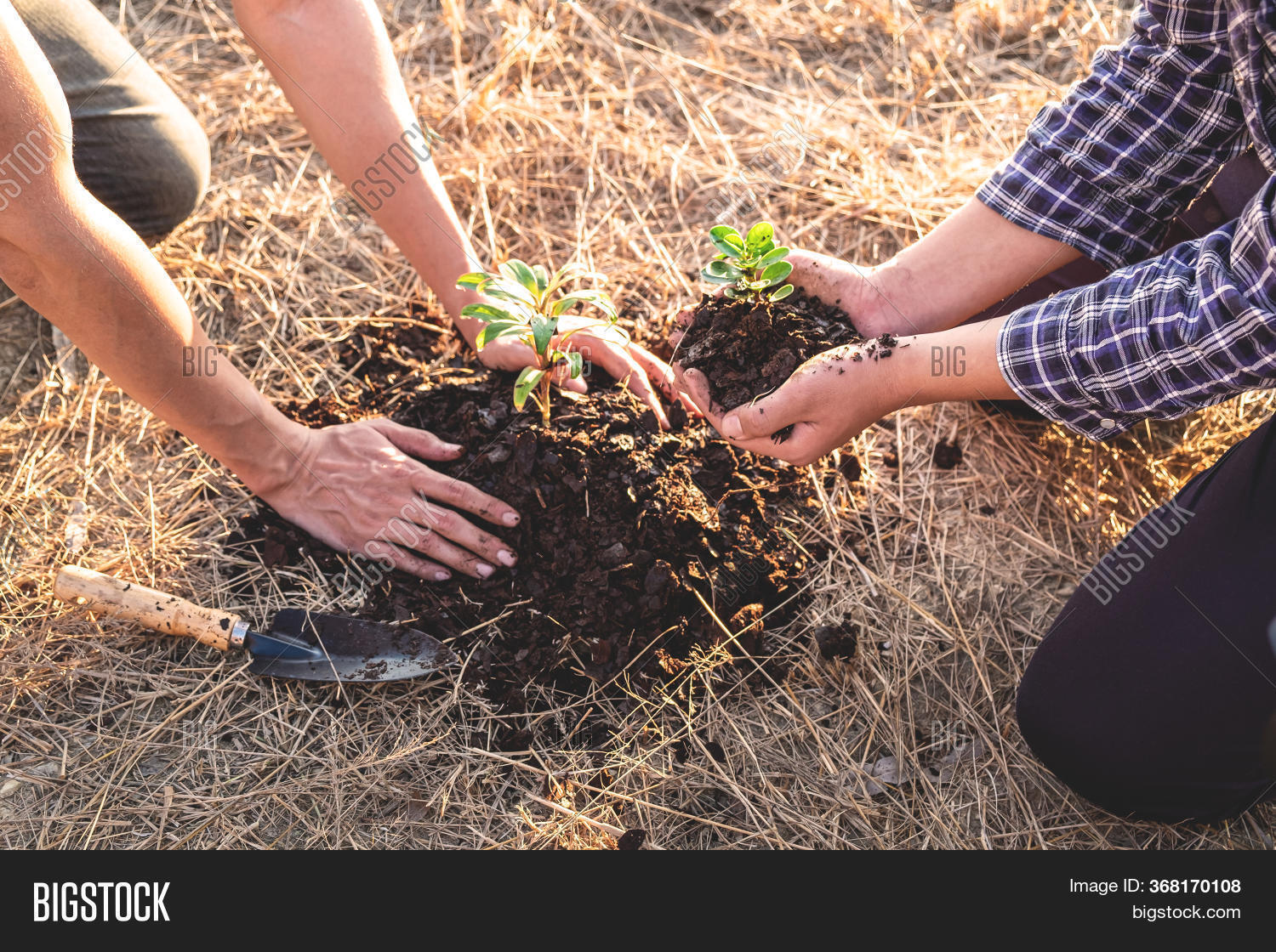 Hand People Helping Image & Photo (Free Trial) | Bigstock