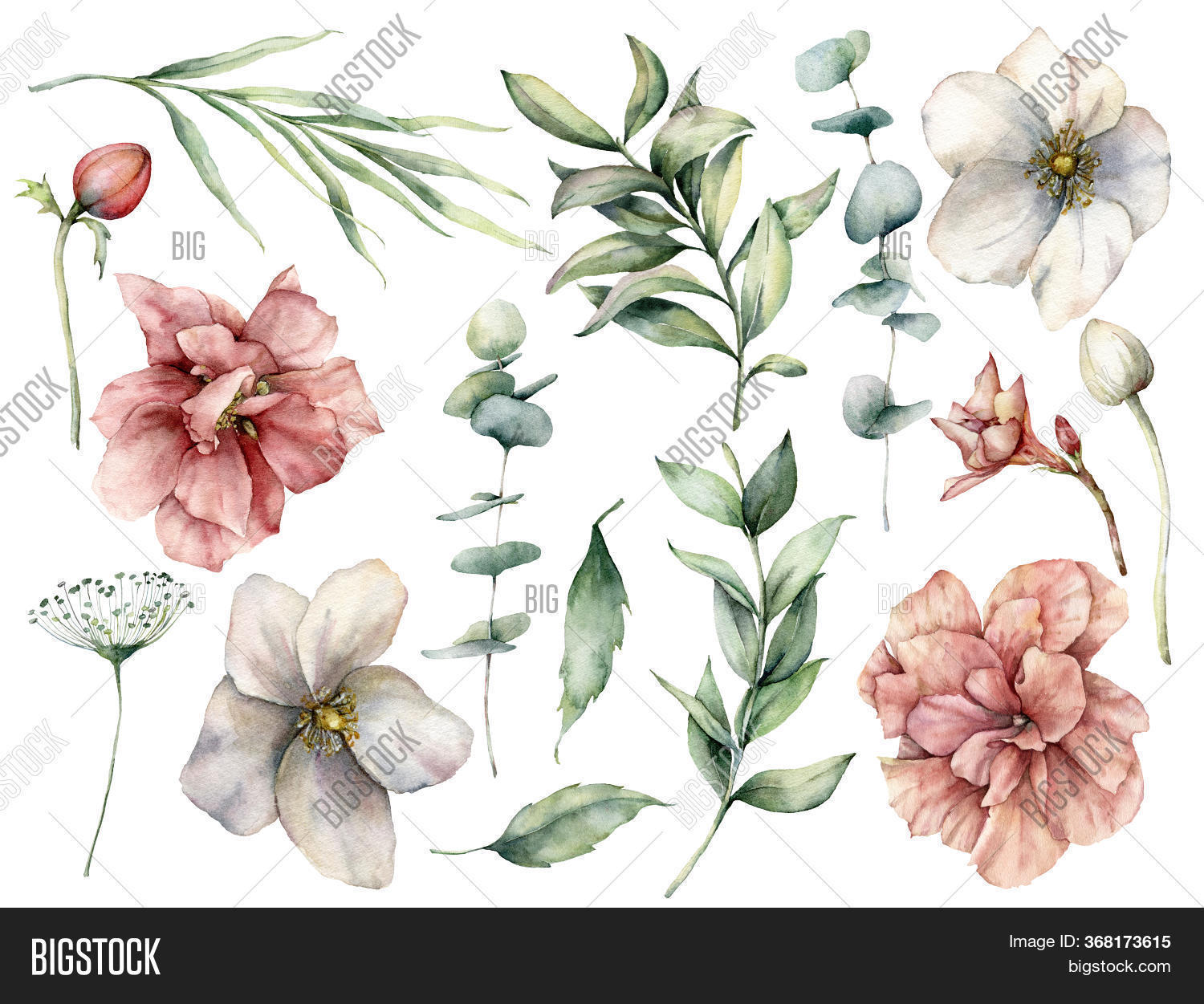 Watercolor Floral Set Image & Photo (Free Trial) | Bigstock